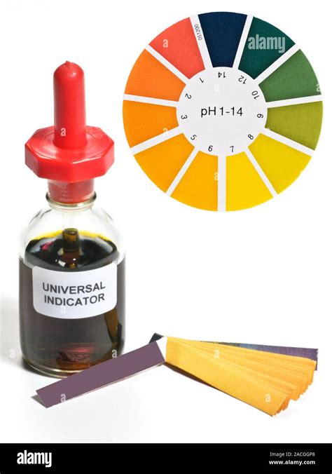 Universal Indicator Lab at Delia Garibay blog