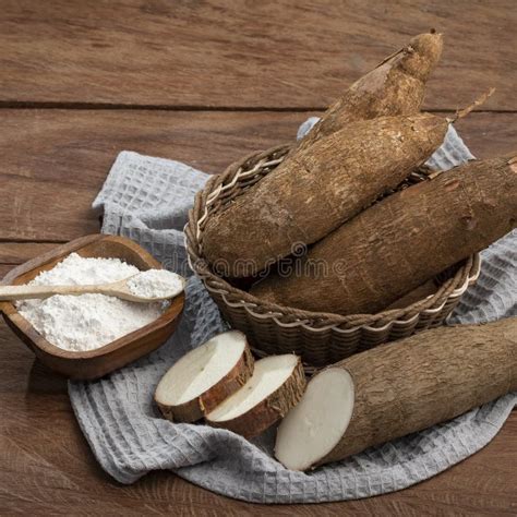 Cassava Organic Cassava Starch Raw Manihot Esculenta Stock Image