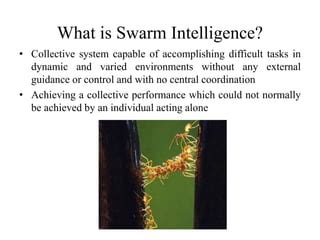 Swarm Intelligence PPTX Beekeeping Hobbies Interests
