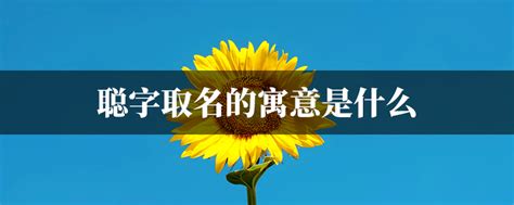 聪字取名的寓意是什么