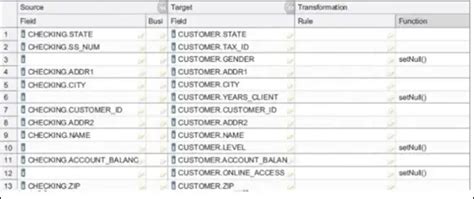 Data Management And Ibm Iis Tools