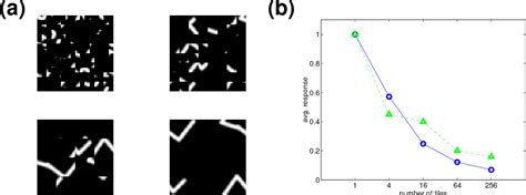 Figure 5 From Hierarchical Models Of Object Recognition In Cortex September 23 1999 Semantic