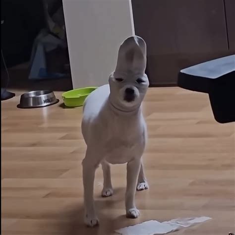 Caleb Hidalgo Youtube