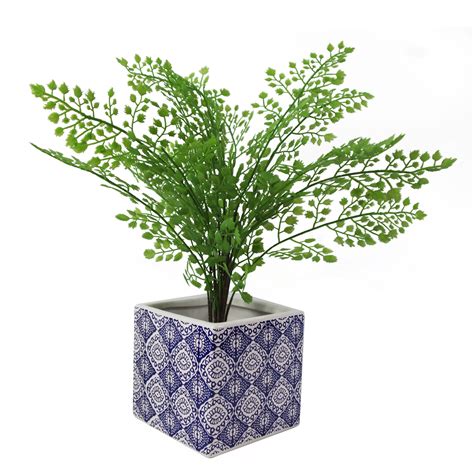 12cm Ceramic Cube Planter With Decorative Print Blue Eye Leaf Design Wholesale