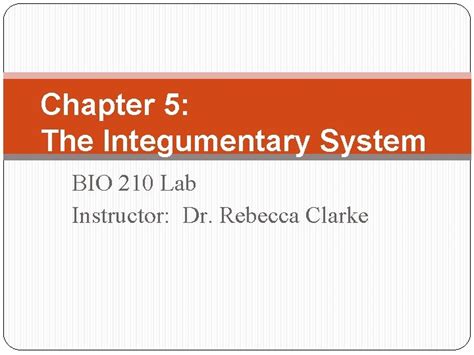 Chapter 5 The Integumentary System BIO 210 Lab