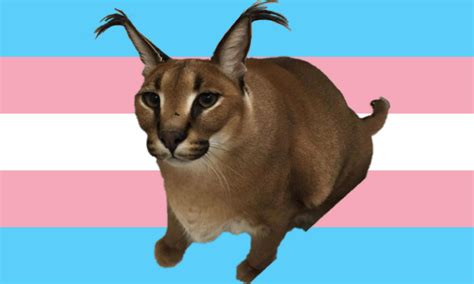 Trans Pride Flag But Floppa Is On It So The R196 Users Will Post It To