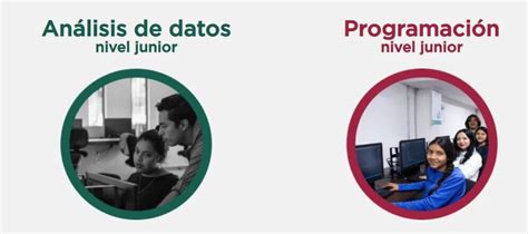 Pilares Cdmx Cómo Registrarse A Los Cursos Gratuitos Con Certificación