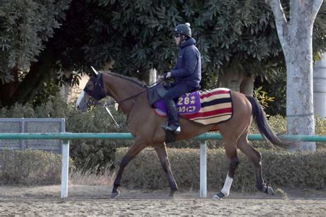 【京都記念】厩舎の話｜競馬ニュース｜競馬予想のウマニティ