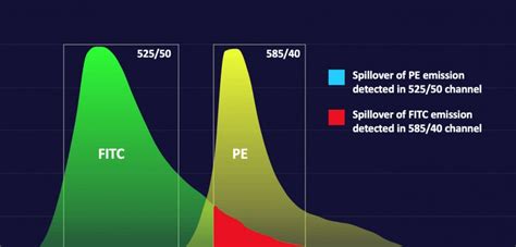 Unraveling Flow Cytometry Fluorescent Compensation Xl Biotec