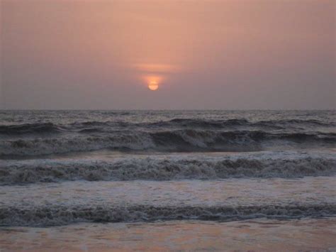 Dahanu Beach Top Tips Before You Go TripAdvisor