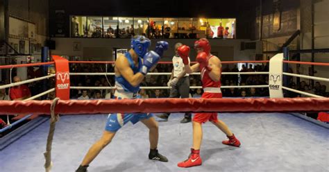 Boksennl Kaartverkoop Znk 10 And 11 Juni Mesa Sport Rotterdam