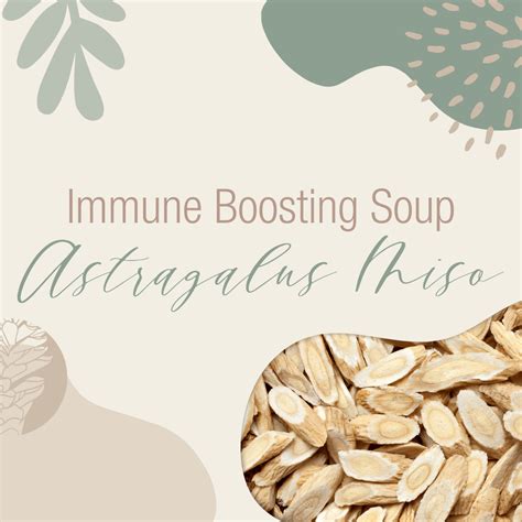 Immune Boosting Astragalus Miso Soup Cucopia Ltd