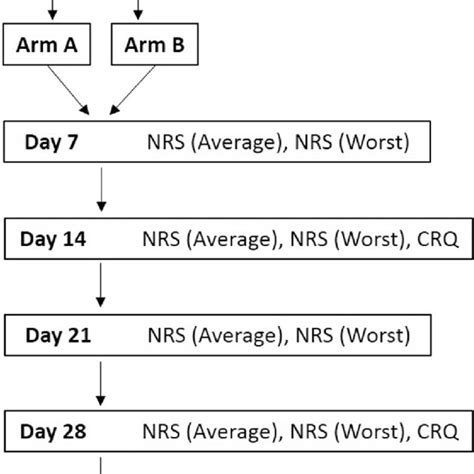 Model Of Total Breathlessness 6 Download Scientific Diagram