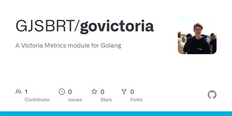 Github Gjsbrtgovictoria A Victoria Metrics Module For Golang
