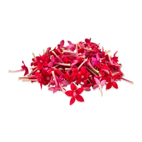 Microgreens And Edible Flowers J Ambrogi Foods