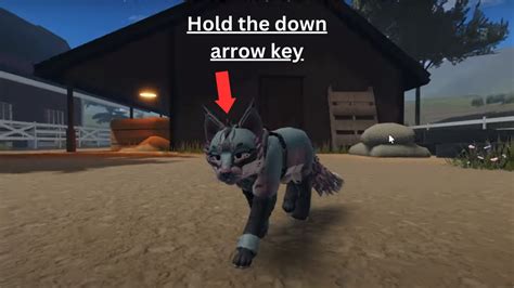 Warrior Cats Ultimate Edition Glitches Guide Item Level Gaming