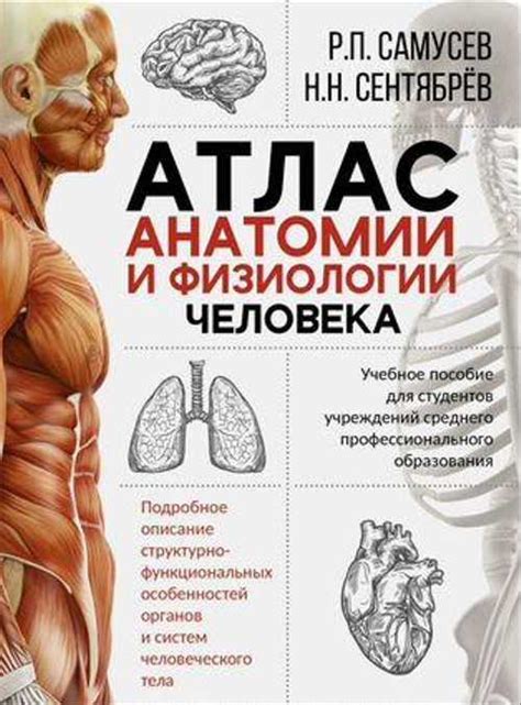 Атлас анатомии и физиологии человека Учебное посо Festimaru