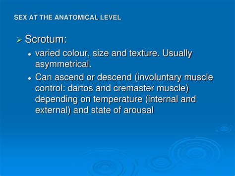 Ppt Sex At The Anatomical Level Powerpoint Presentation Free