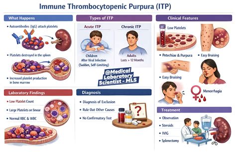 Biology Immune Thrombocytopenic Purpura Itp Isolated Low Platelets