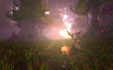 Beautiful Shot I Took While Strolling Through Ashenvale No Editing