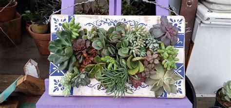 Curso Quadro De Suculentas Equipe Garden Paisagismo