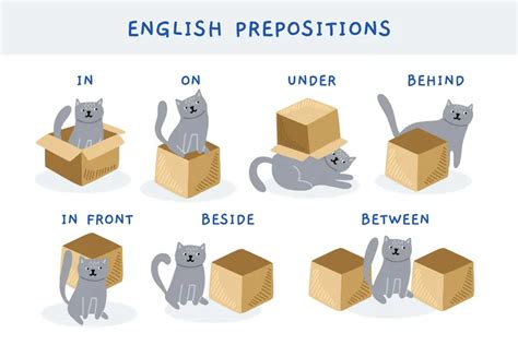 Prepositions Pictures