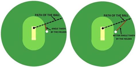10 Incredibly Simple Tips To Improve Your Fielding Cricketers Hub