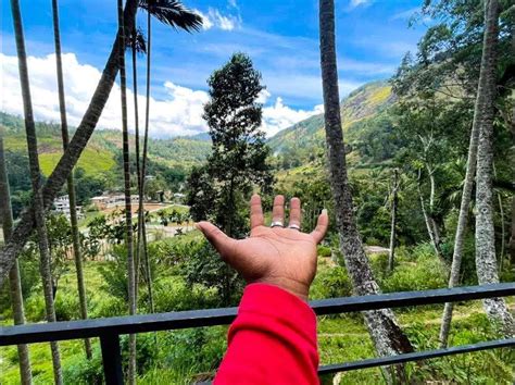 මැරෙ මැරෙන්න කලින් ලංකාවේ ඔබ යායුතුම Hotels And Restaurants