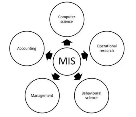 信息化与数字化 知乎