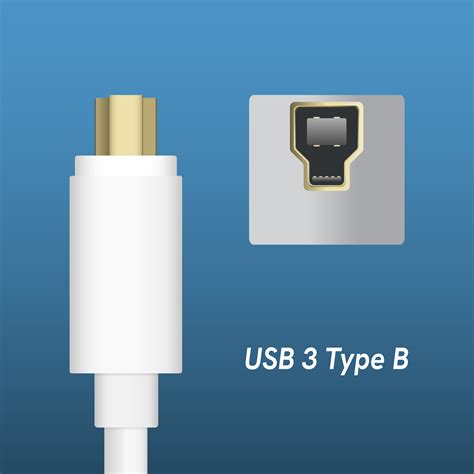 Usb 3 Type B Cable Plugs And Socket Isolated On Blue Background Eps10