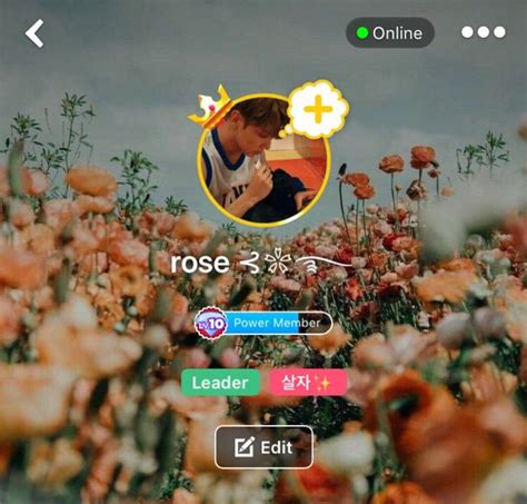 Level 10 All Armys Amino