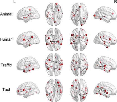 Sound Category Discriminative Networks Obtained By Conjunction Analysis Download Scientific