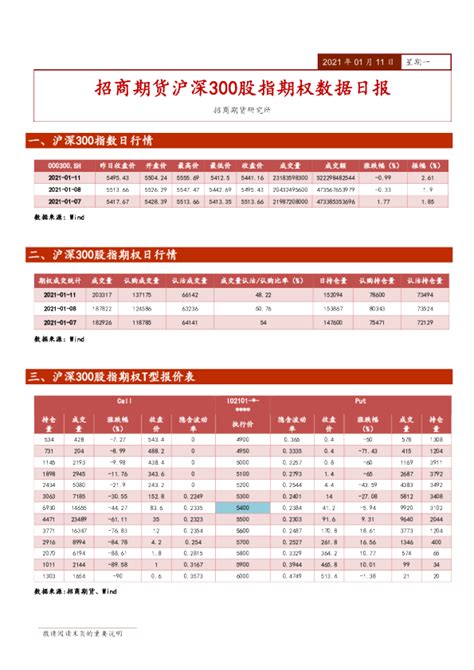 沪深300股指期权数据日报