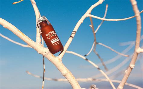 Home Hollow And Ridge Essential Oil Fragrances