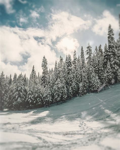 David Capps — The Westchester Review