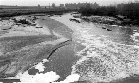 Informe 19982023 25 años del desastre de Aznalcóllar los