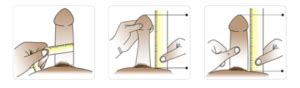 How To Measure Your Penis Using Bone Pressed Erect Length Method