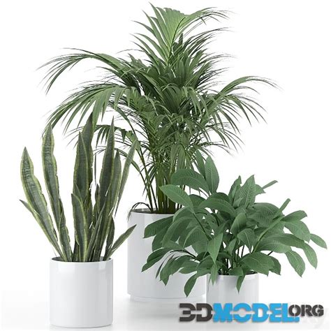 3d Model Plant Set 001 Hi Poly