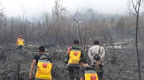 130 Hektare Lahan Di Kawasan Gunung Rinjani Terbakar Selama 3 Hari