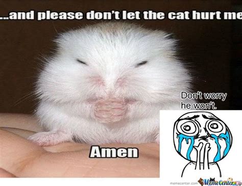 Please Dont Hurt Me Quotes Quotesgram