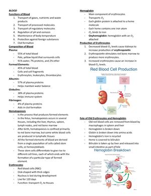Nursing Assistant Senior Level Theoretical Foundations Of Nursing