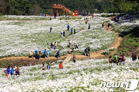 정읍시 구절초 테마공원 재정비 지방정원 지정 박차
