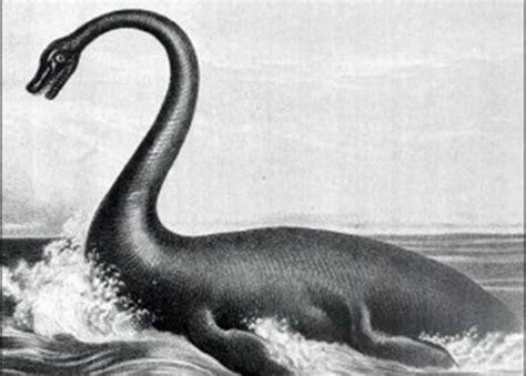 ネッシー Loch Ness Monster Japaneseclassjp