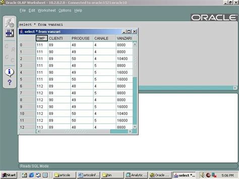 Utilizarea Instrumentului Olap Worksheet Pentru A Afişa Tuplurile