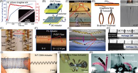 Various Soft Robots Enabled By Fibrous Materials A A Torsional Download Scientific Diagram