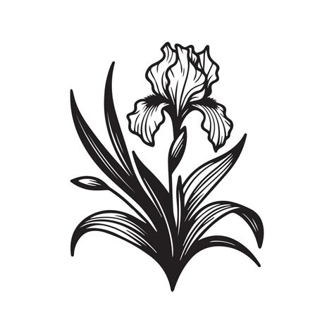 AI Generated Iris Flower Silhouette Black And White Illustration Vector Art At Vecteezy