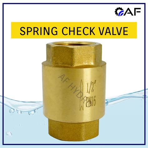 Brass Spring Check Valve 1 4 To 1 BSP Heavy Duty One Way Non Return