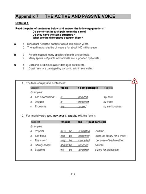 Appendix 7 The Active And Passive Voice Pdf Volcano Nature
