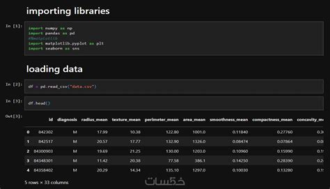تنظيف البيانات وتحليلها باستخدام لغة Python خمسات