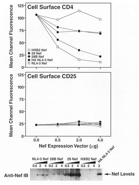 Cd4 Down Regulation By Patient Nefs Patient Nef Clones Were